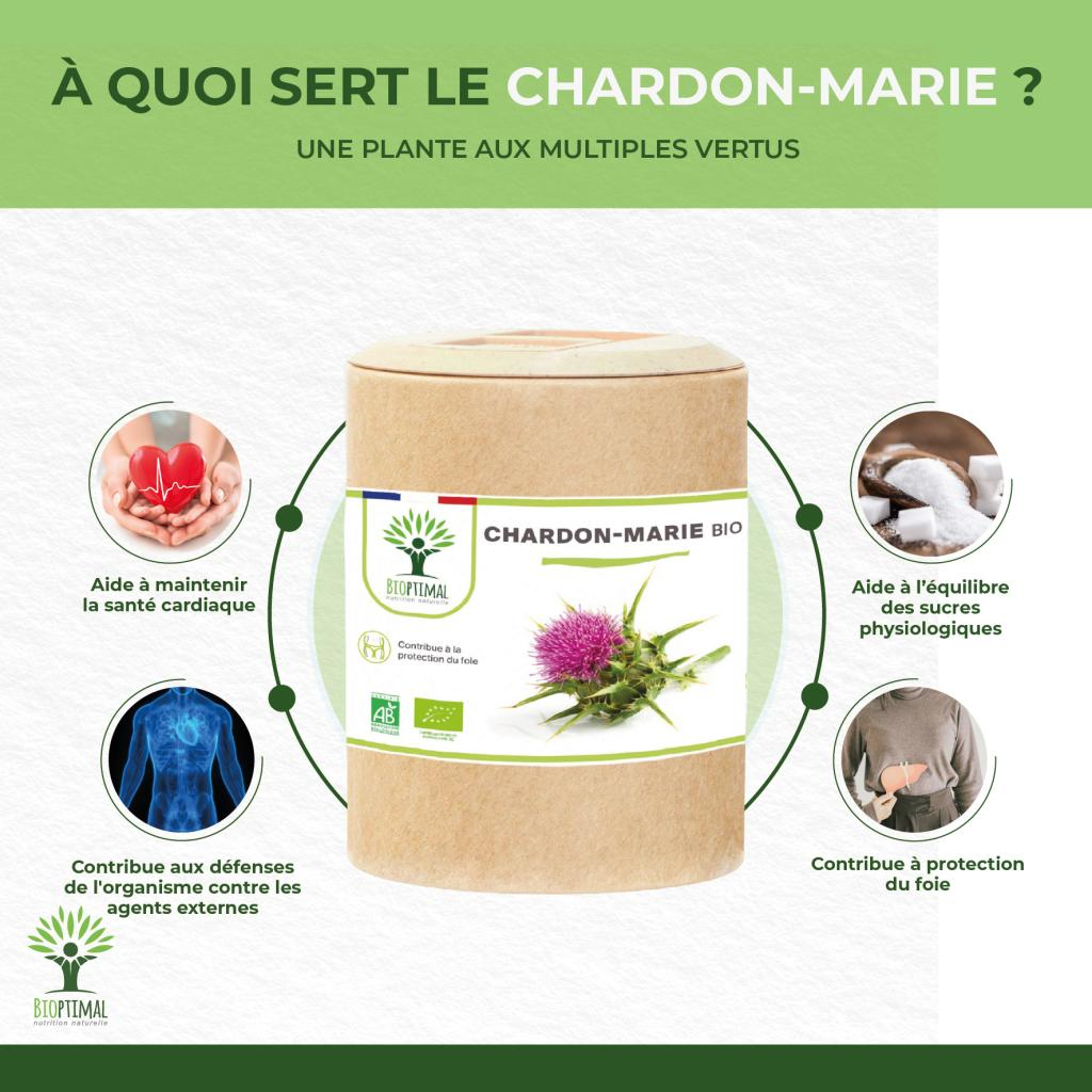 Chardon Marie Bio - Complément alimentaire - Foie Digestion - Fabriqué ...