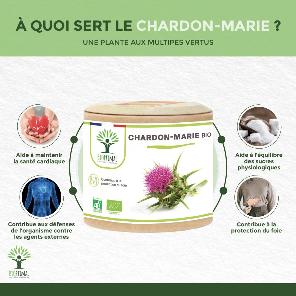 Chardon Marie Bio - Complément alimentaire - Foie Digestion - Fabriqué ...