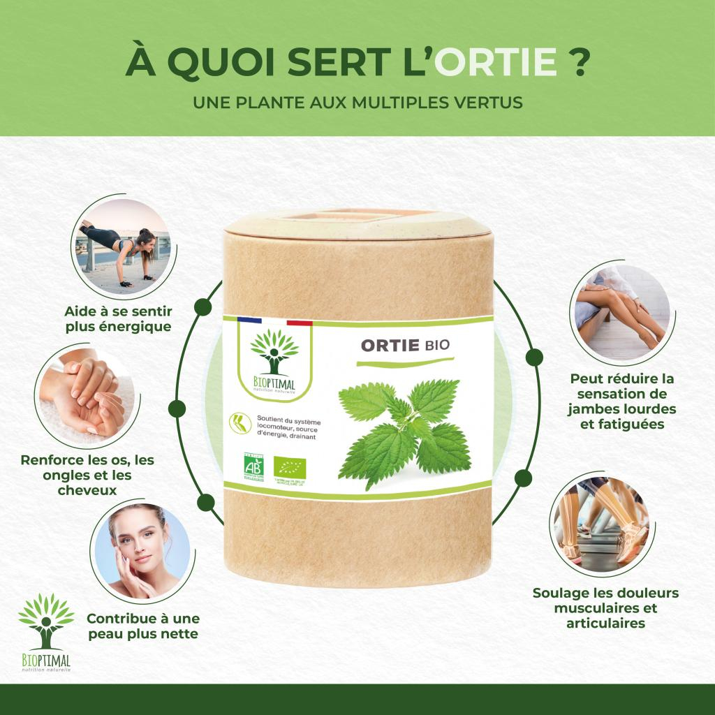Ortie Bio - Complément Alimentaire - 100% Poudre de Feuille Ortie ...