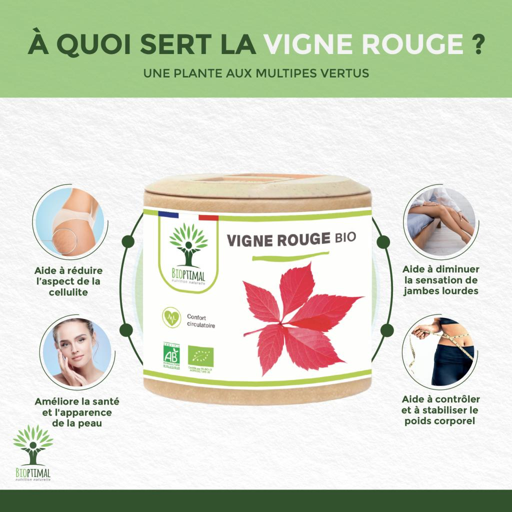 Vigne rouge Bio - Complément alimentaire - Jambes lourdes Circulation ...