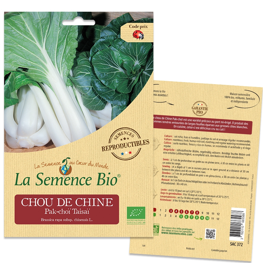 CHOU DE CHINE Pak-choï Taisaï Bio | Sevellia