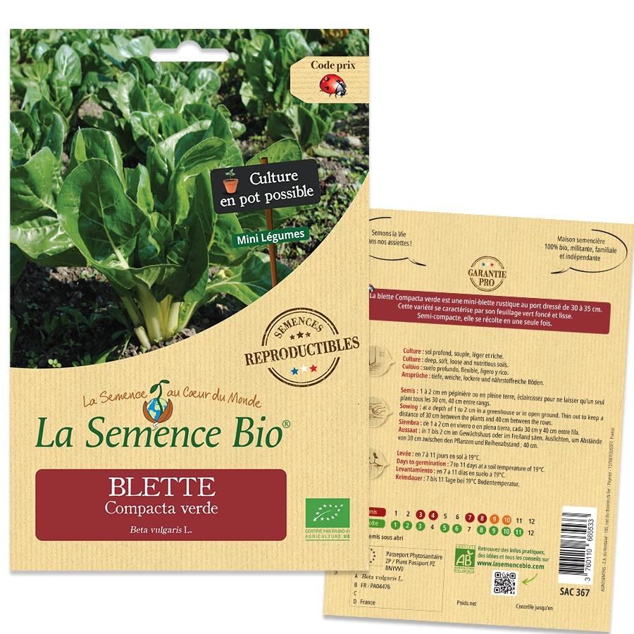 Semence - BLETTE Compacta verde Bio | Sevellia