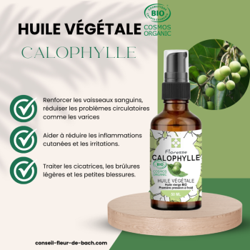 L'Huile végétale de Calophylle BIO - 50Ml | Sevellia