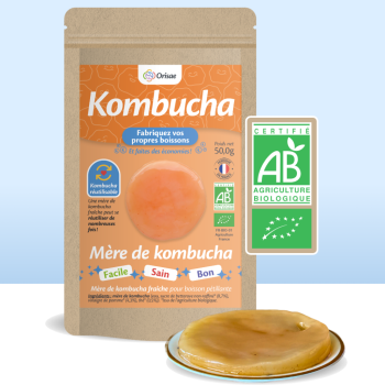 Mère de kombucha fraîche BIO | Sevellia